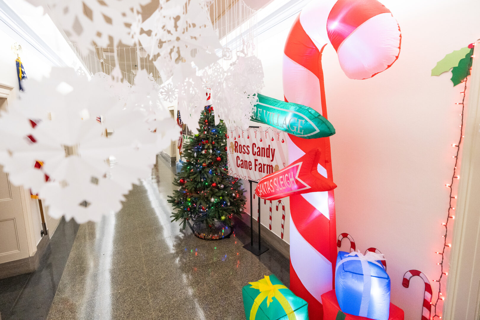 Congress takes holiday decorating seriously. This year it caused an ...