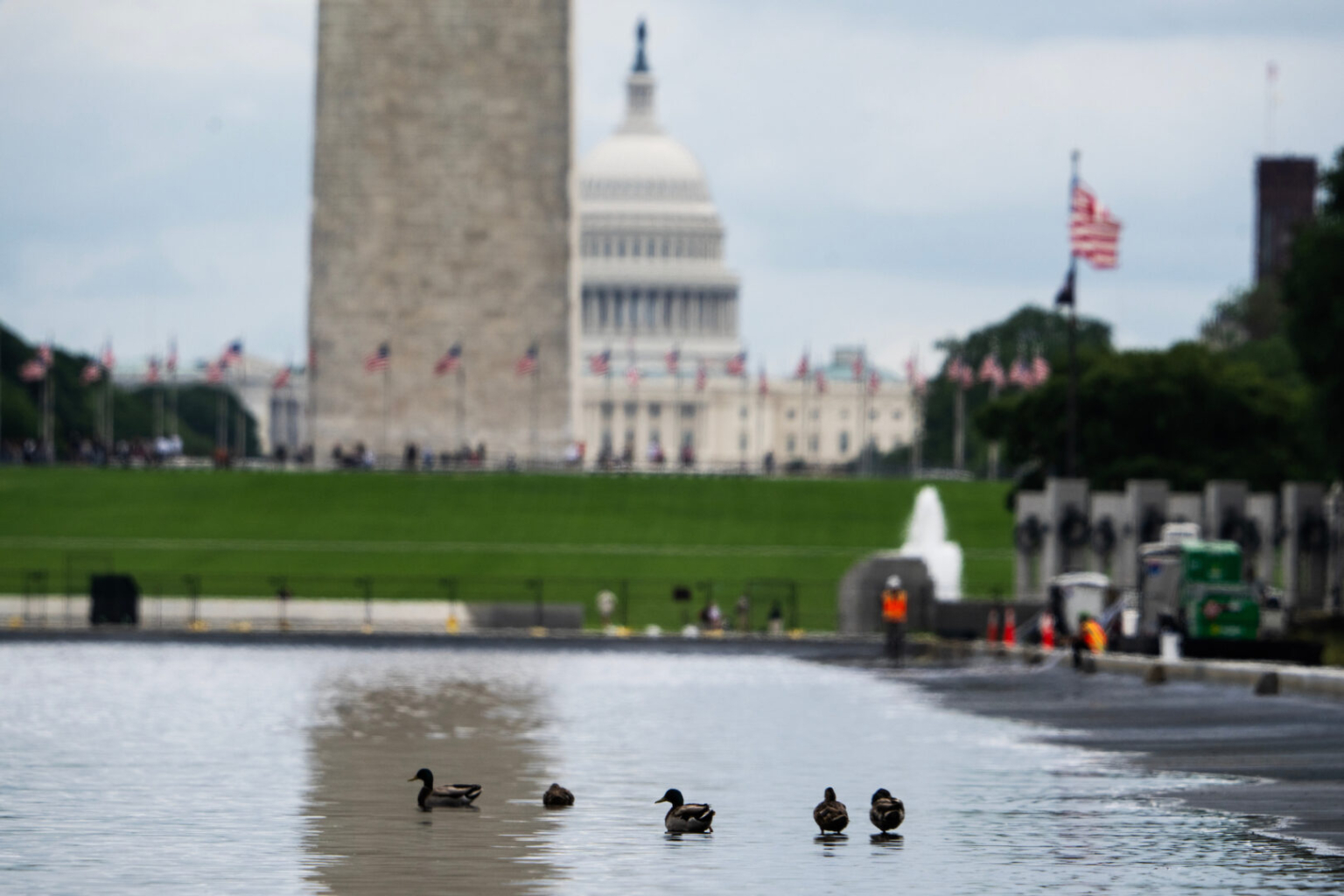 Capitol Lens | Pool of engagement – Roll Call